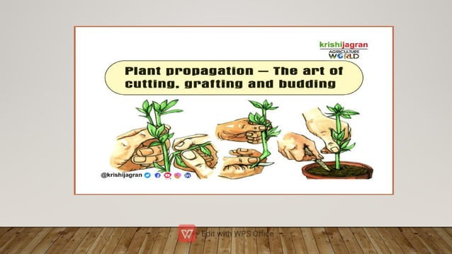 Botany presentation | PPT