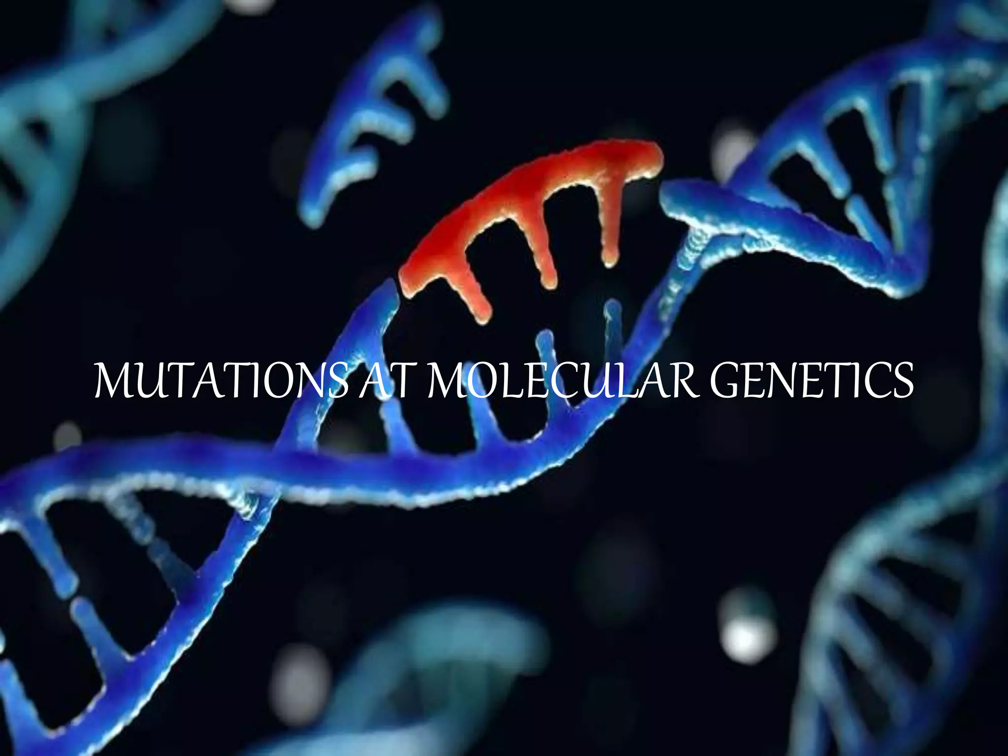 Project on mutation | PPTX