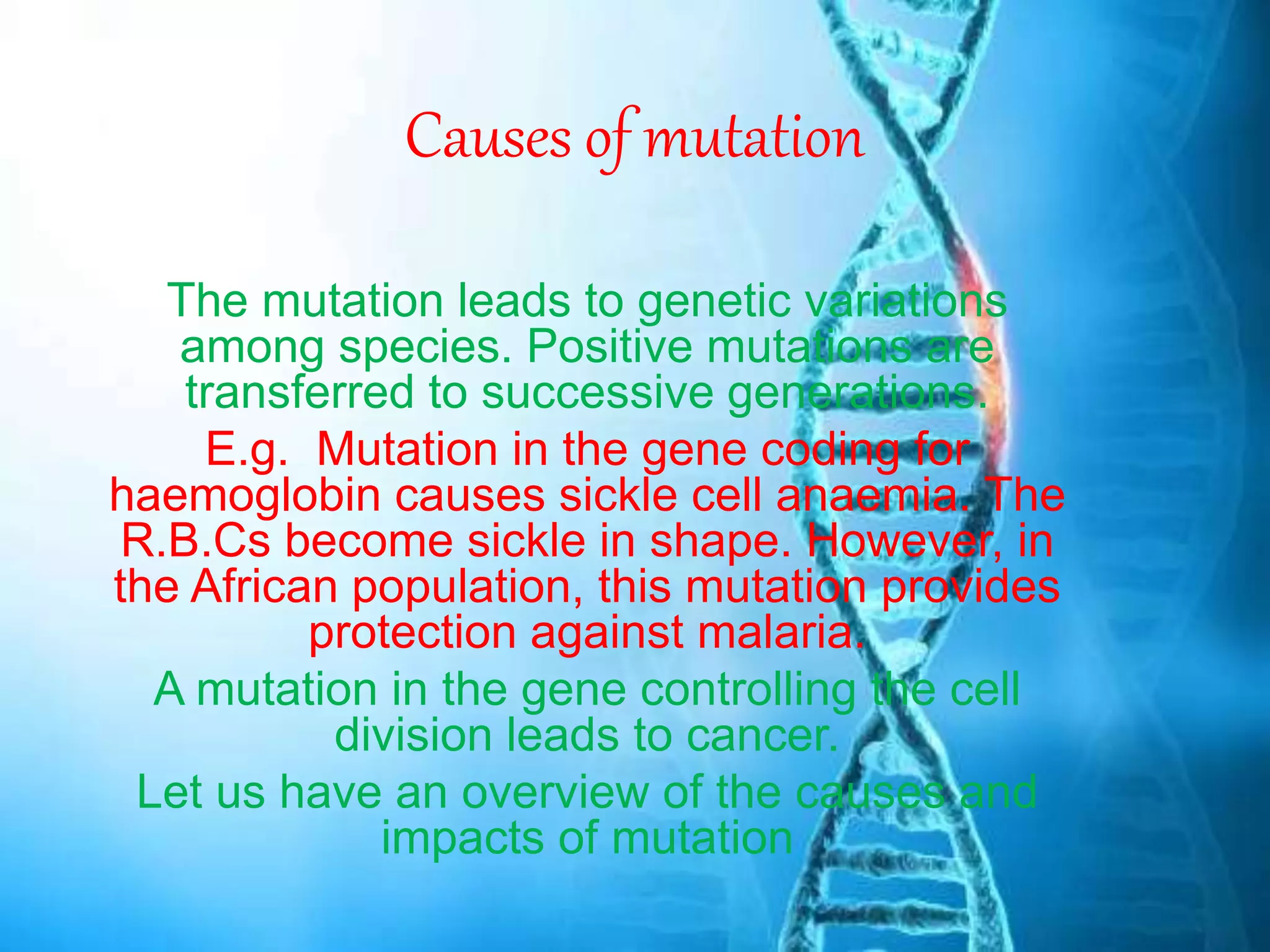 Project on mutation | PPTX | Genetics | Science