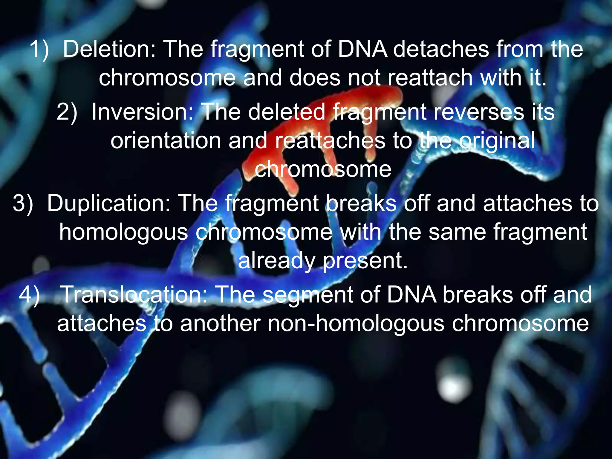 Project on mutation | PPTX | Genetics | Science