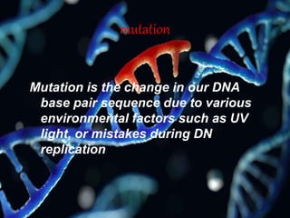 Project on mutation | PPTX