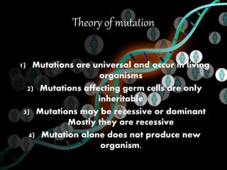 Project on mutation | PPTX