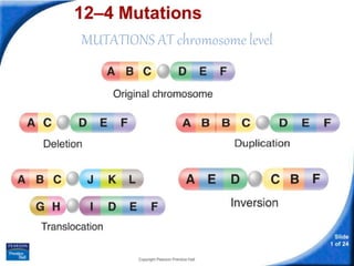 Project on mutation | PPT