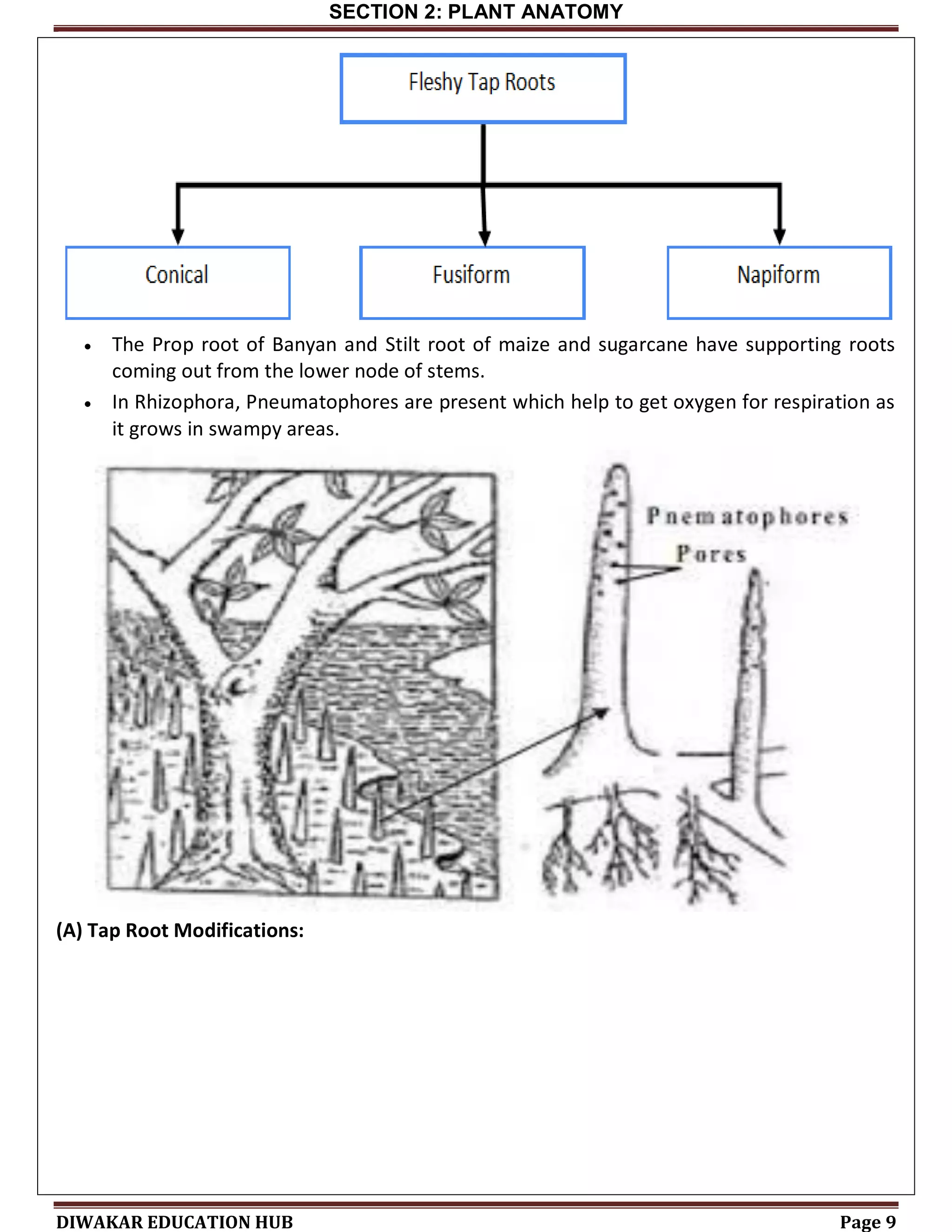 GATE Botany Book PDF [Sample PDF] | PDF