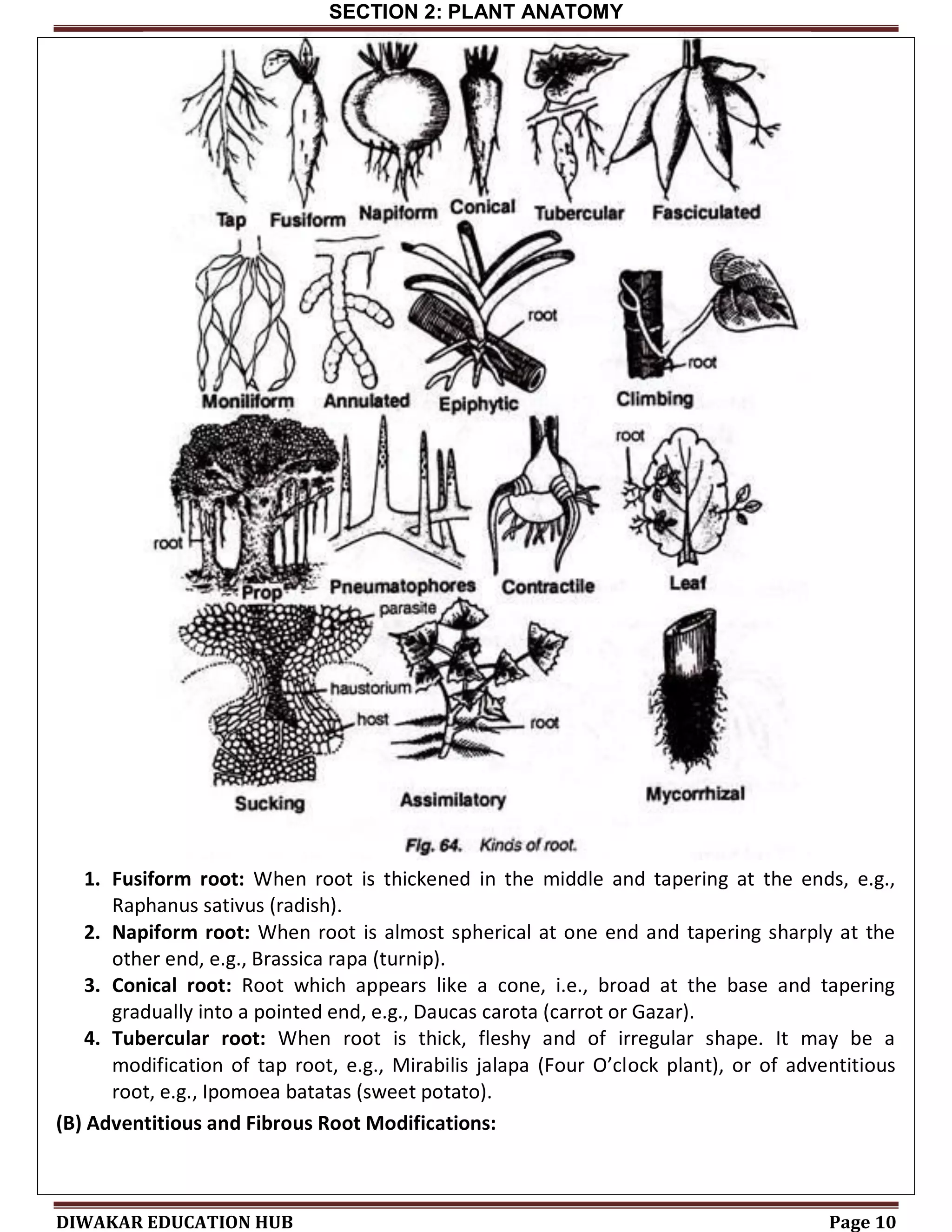 GATE Botany Book PDF [Sample PDF] | PDF