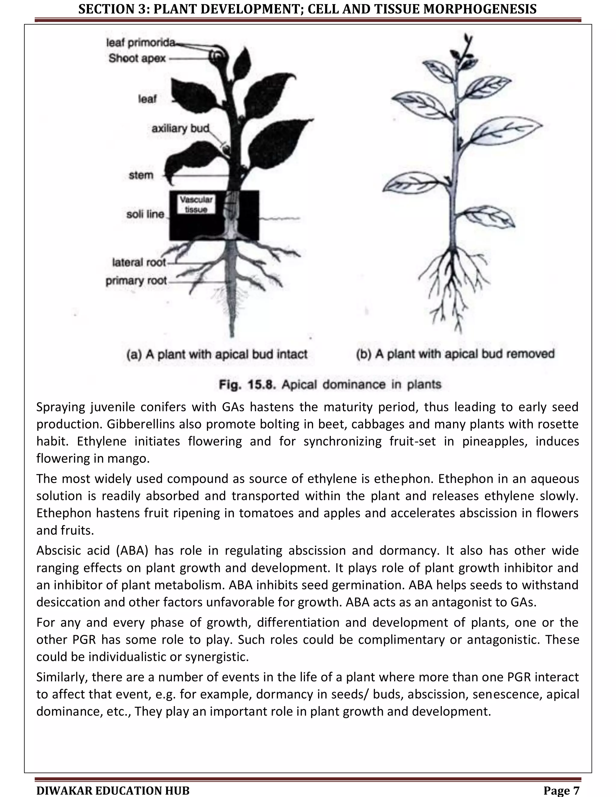 GATE Botany Book PDF [Sample PDF] | PDF