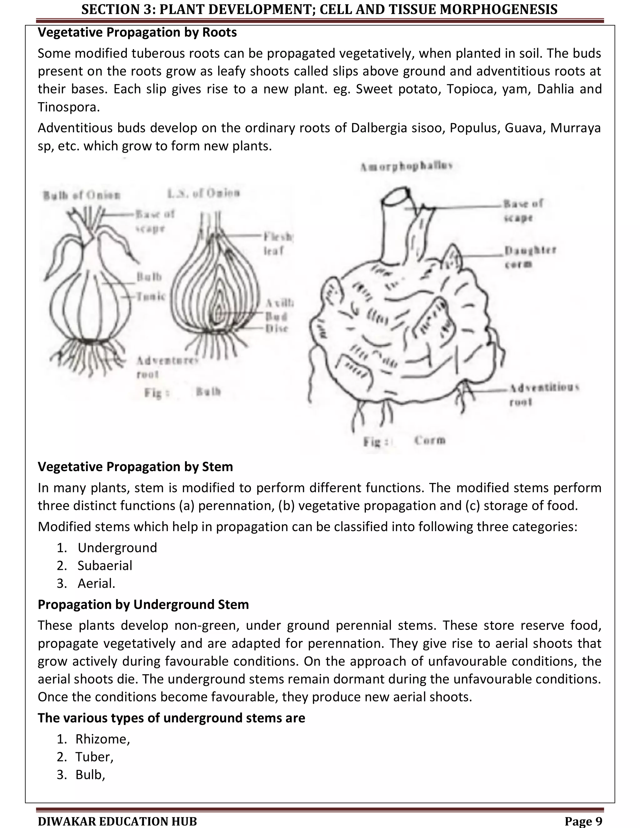 GATE Botany Book PDF [Sample PDF] | PDF