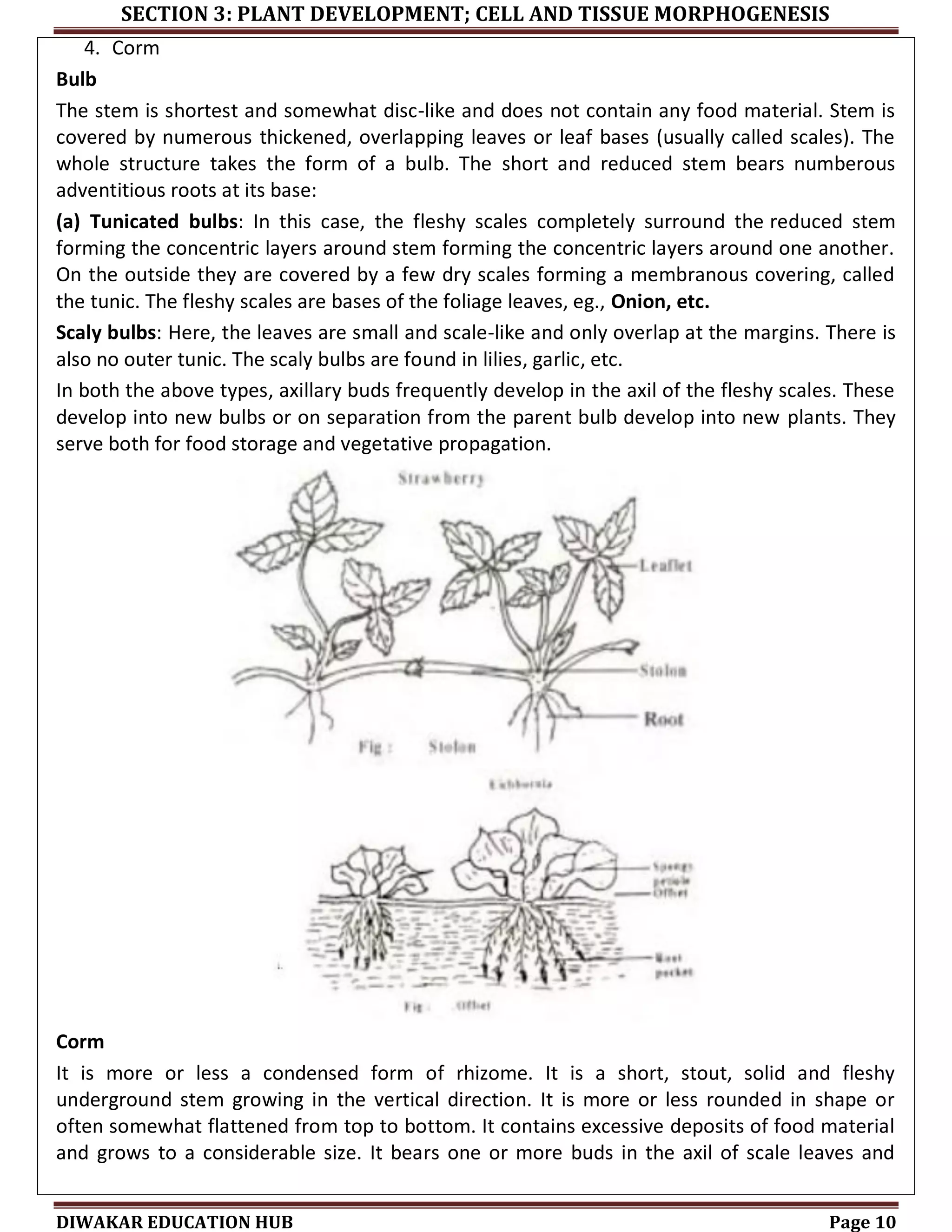 GATE Botany Book PDF [Sample PDF] | PDF
