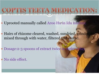 coptis teeta | PPTX
