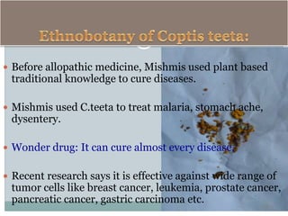 coptis teeta | PPTX