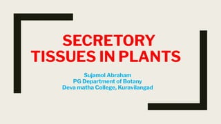 Biological classification of plants with detail | PDF