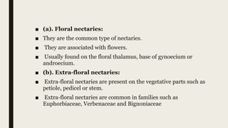 Biological classification of plants with detail | PDF