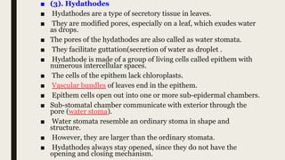 Biological classification of plants with detail | PPT
