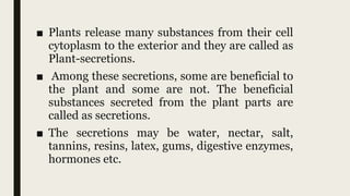 Biological classification of plants with detail | PDF