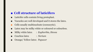 Biological classification of plants with detail | PDF