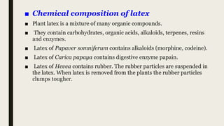 Biological classification of plants with detail | PDF
