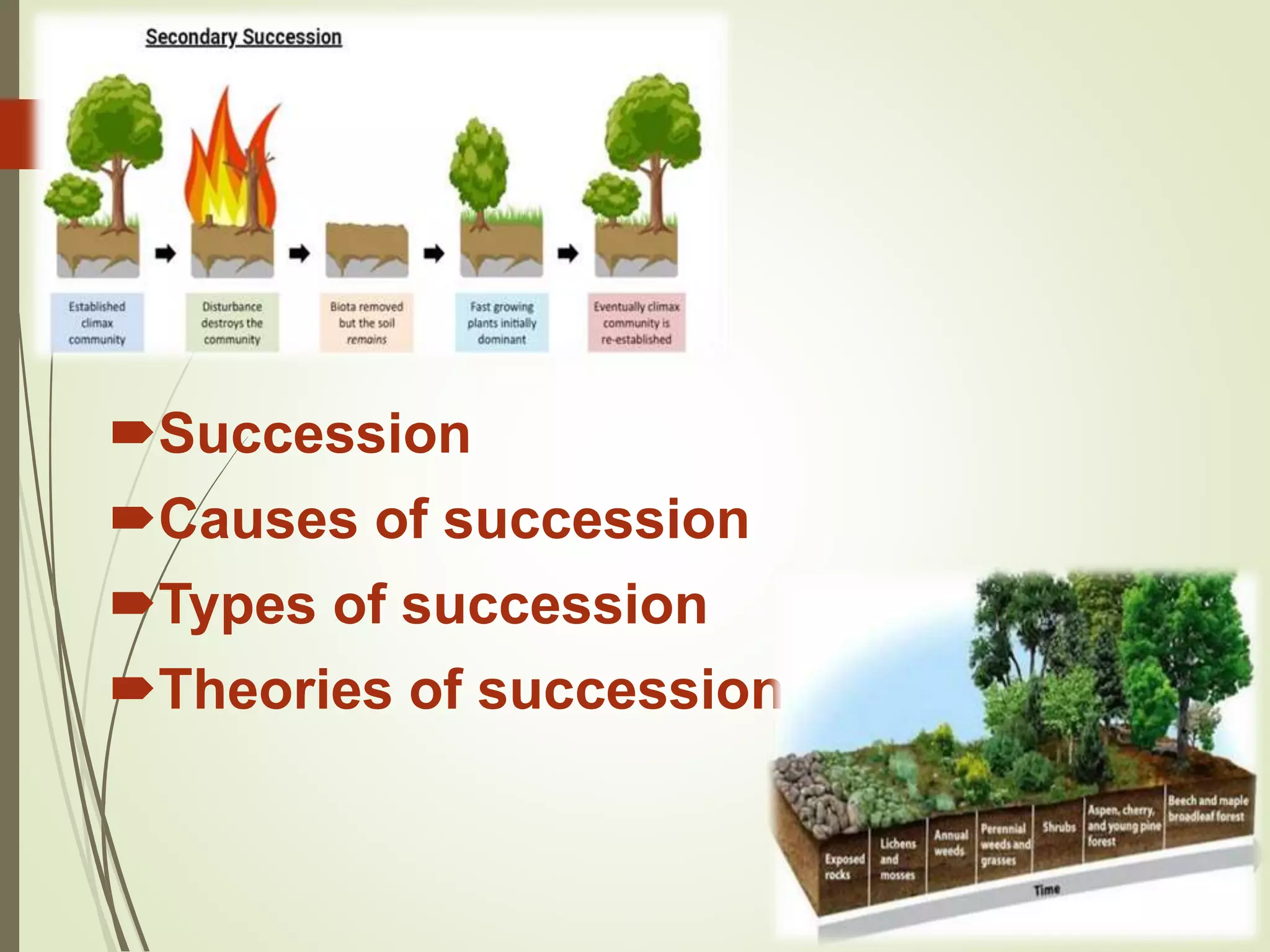 Succession ,its types ,causes and theories | PPTX