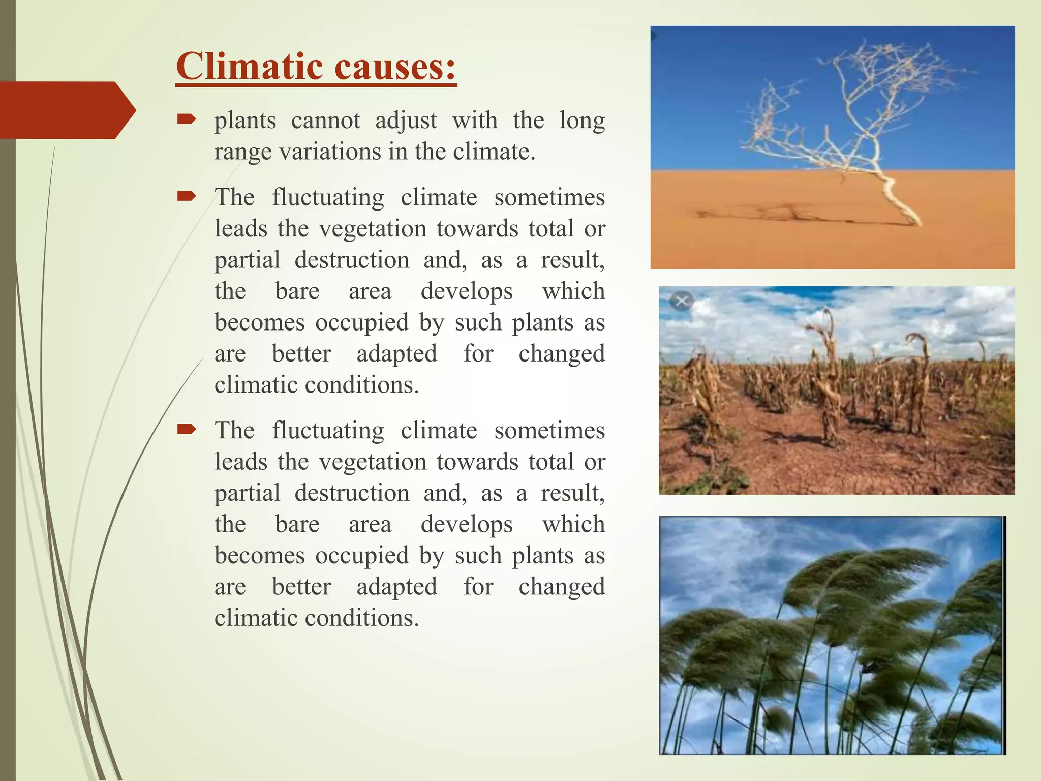 Succession ,its types ,causes and theories | PPTX