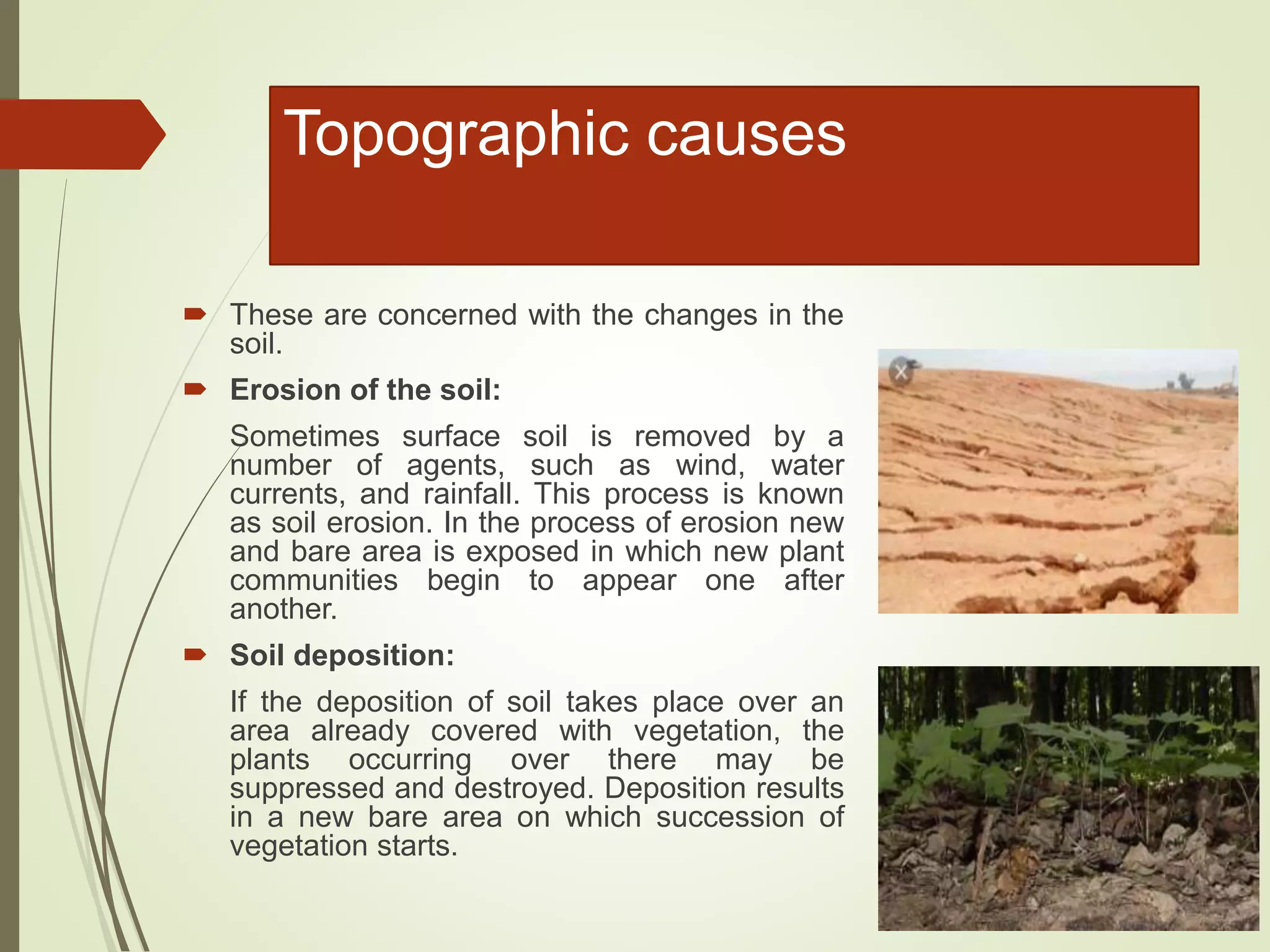 Succession ,its types ,causes and theories | PPTX