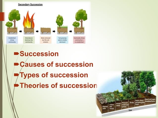 Succession ,its types ,causes and theories | PPTX | Environment | Science