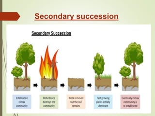Succession ,its types ,causes and theories | PPTX