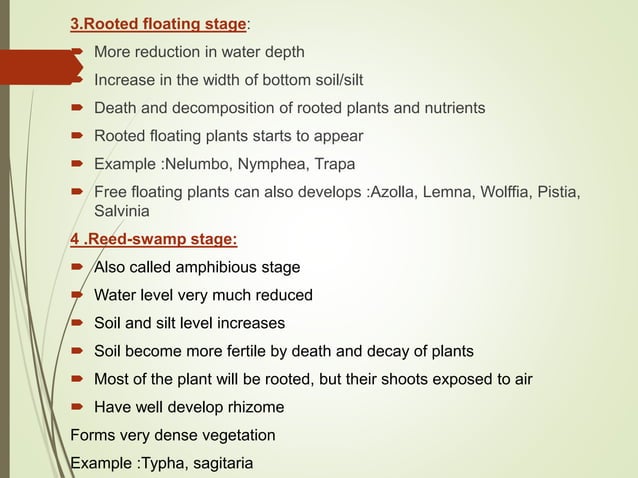 Succession ,its types ,causes and theories | PPTX | Environment | Science