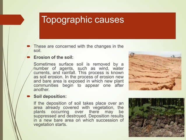 Succession ,its types ,causes and theories | PPTX | Environment | Science