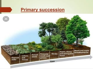 Succession ,its types ,causes and theories | PPTX