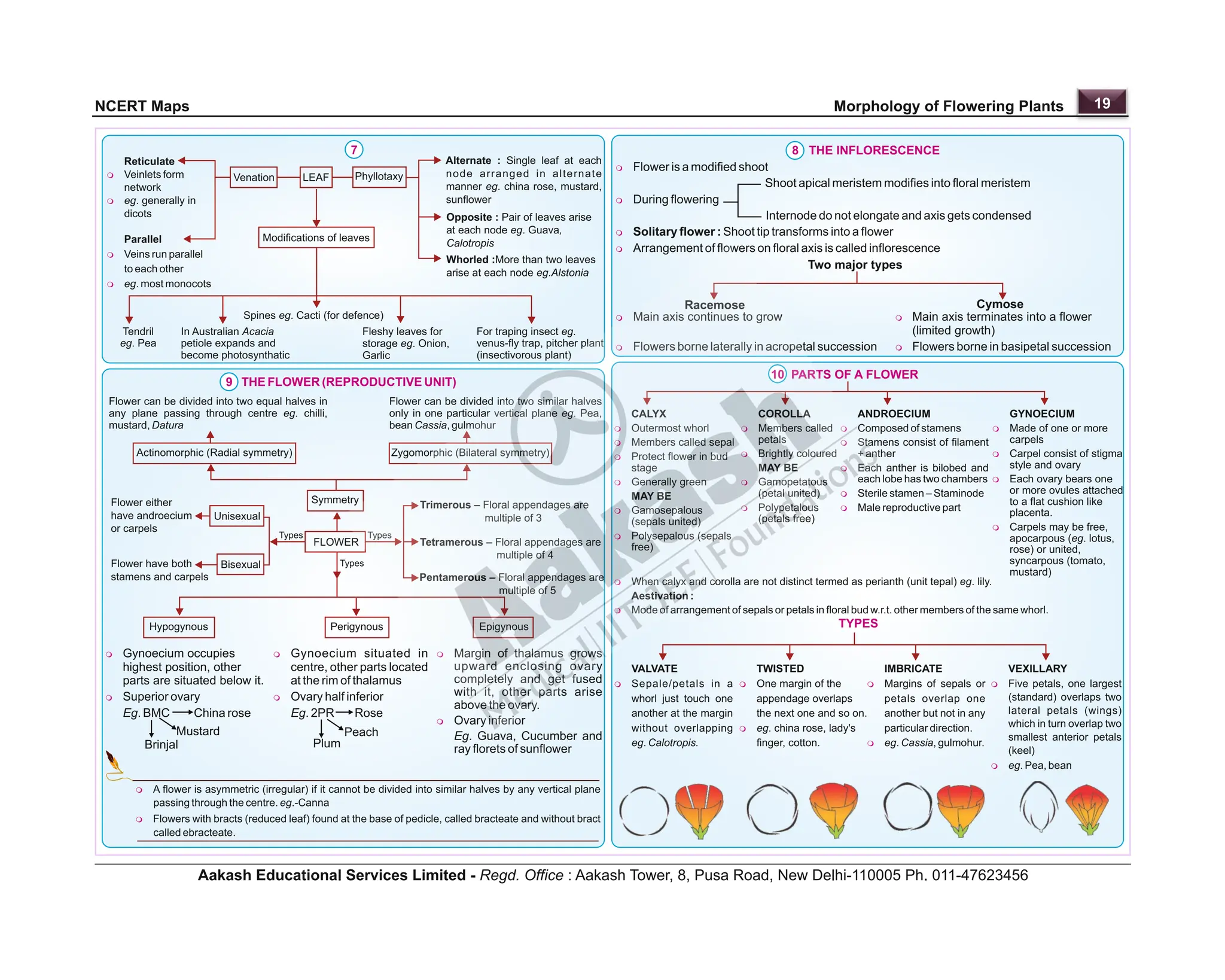 Botany Ultra HD Maps_NEET_CLASS11THAND12TH..removed.pdf