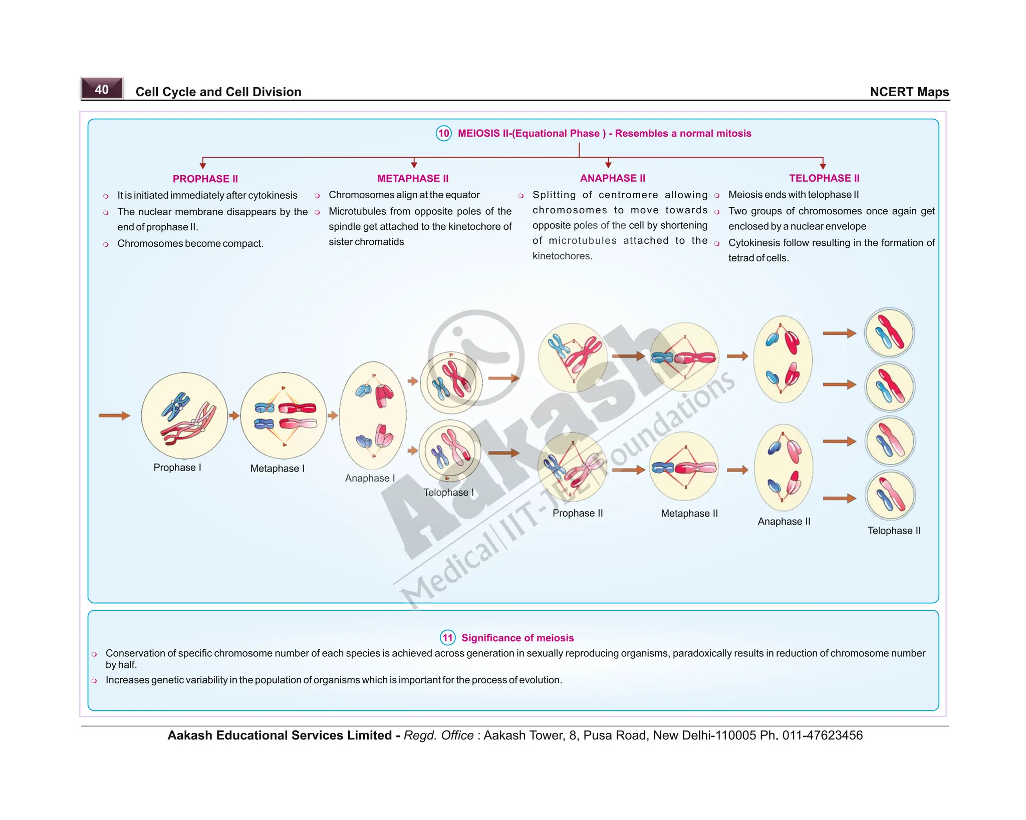 Botany Ultra HD Maps_NEET_CLASS11THAND12TH..removed.pdf