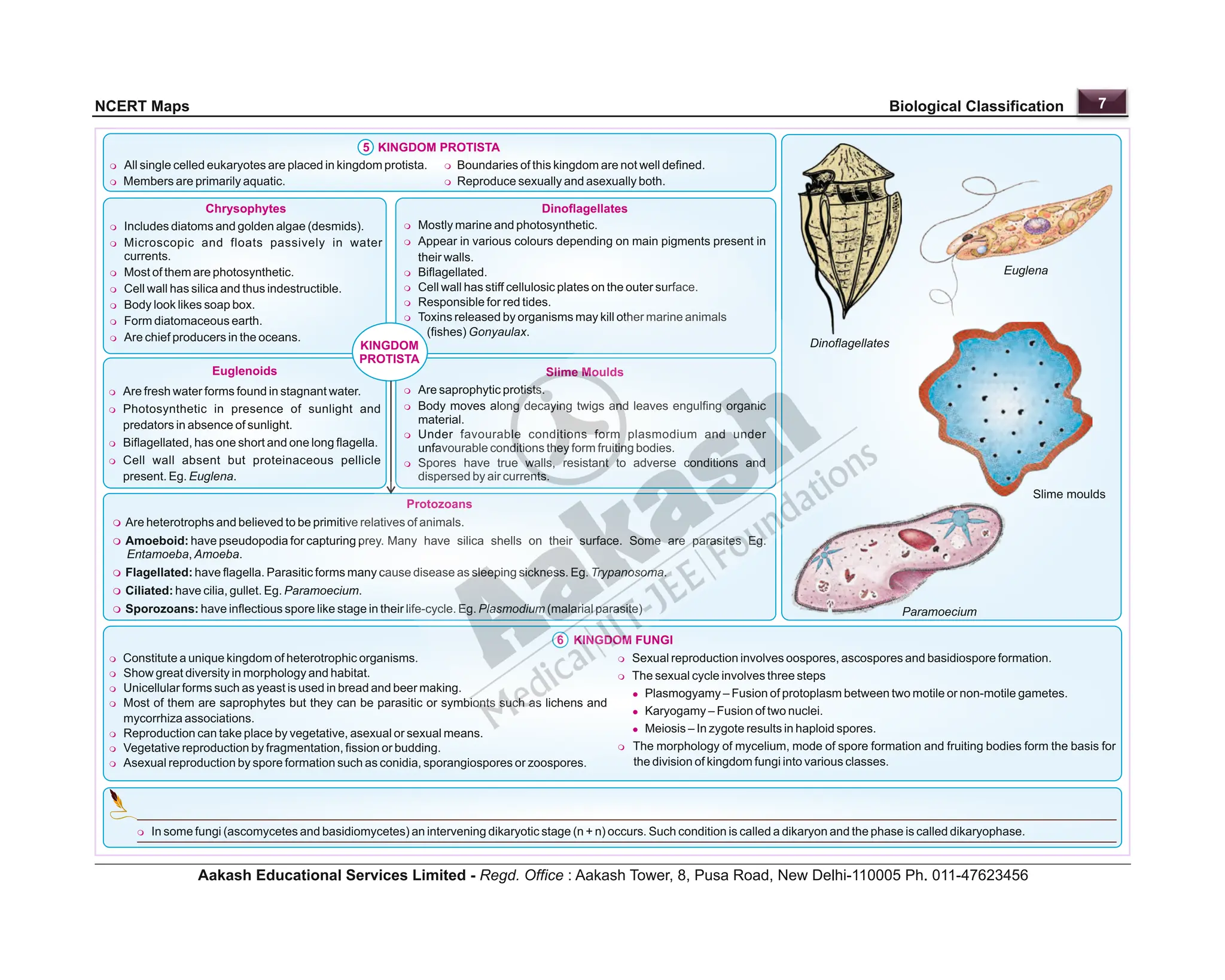 Botany Ultra HD Maps_NEET_CLASS11THAND12TH..removed.pdf