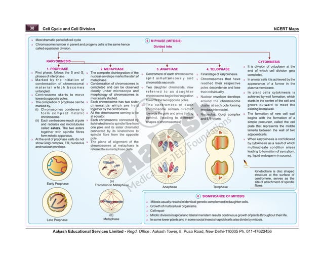 Botany Ultra HD Maps_NEET_CLASS11THAND12TH..removed.pdf