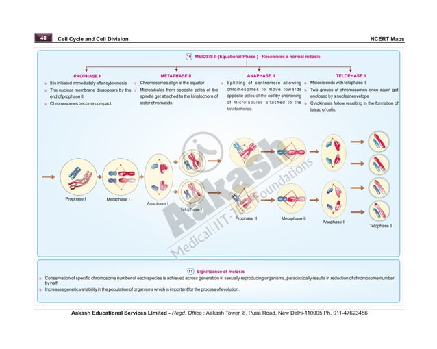 Botany Ultra HD Maps_NEET_CLASS11THAND12TH..removed.pdf