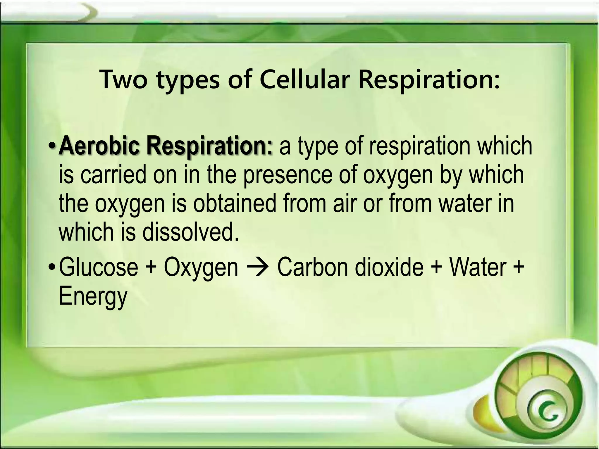 Cellular Respiration | PPTX