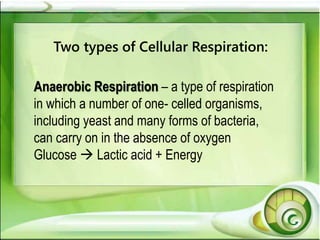 Cellular Respiration | PPTX