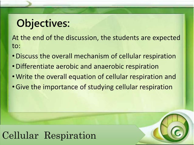 Cellular Respiration | PPTX