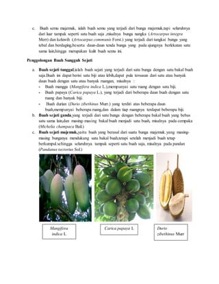 Botfar buah | DOCX