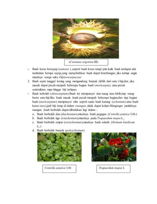Botfar buah | DOCX