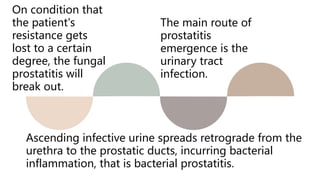 Both Infection And Bad Habits Can Lead To Prostatitis | PPT