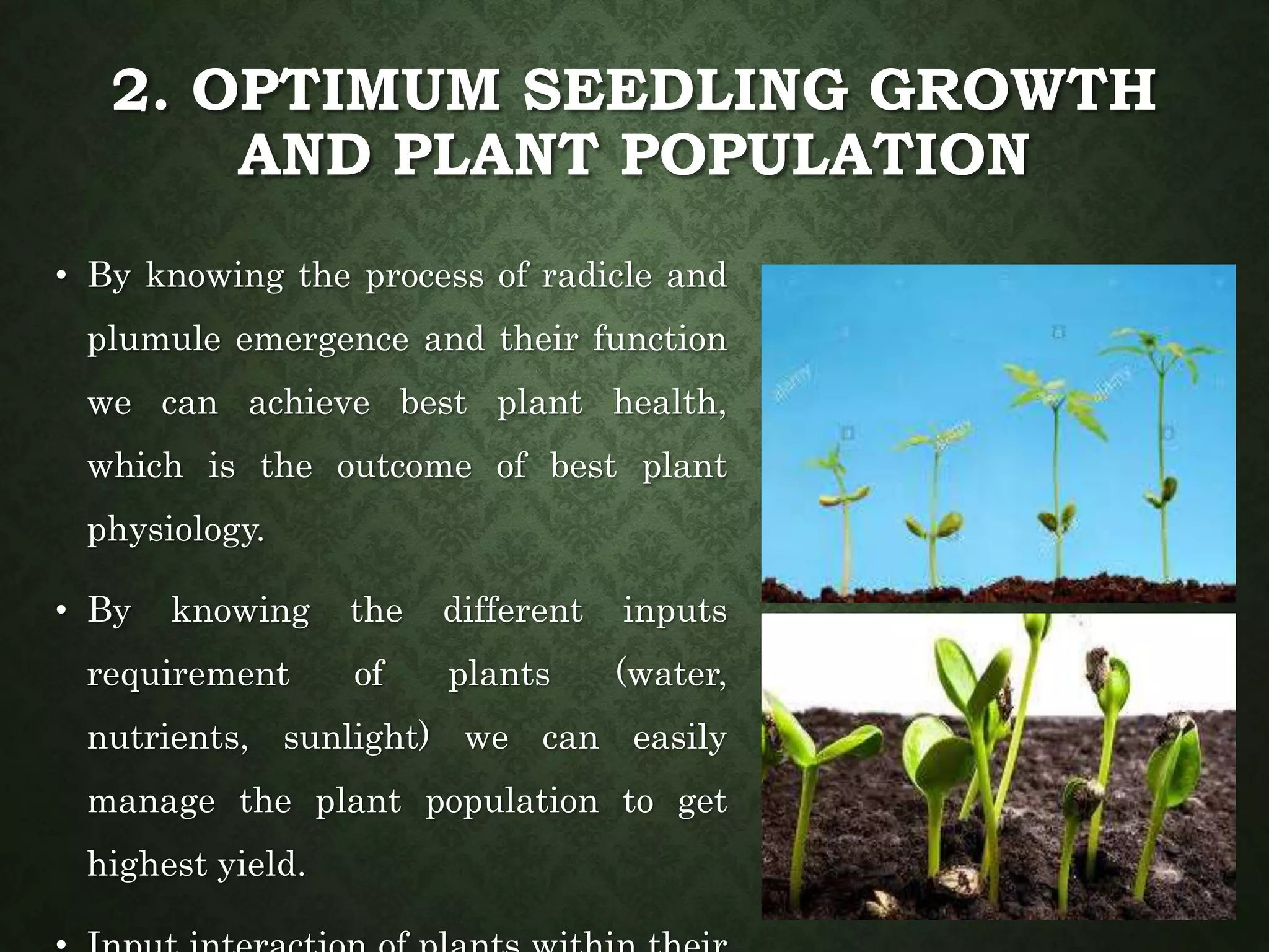 Plant Physiology | PPTX