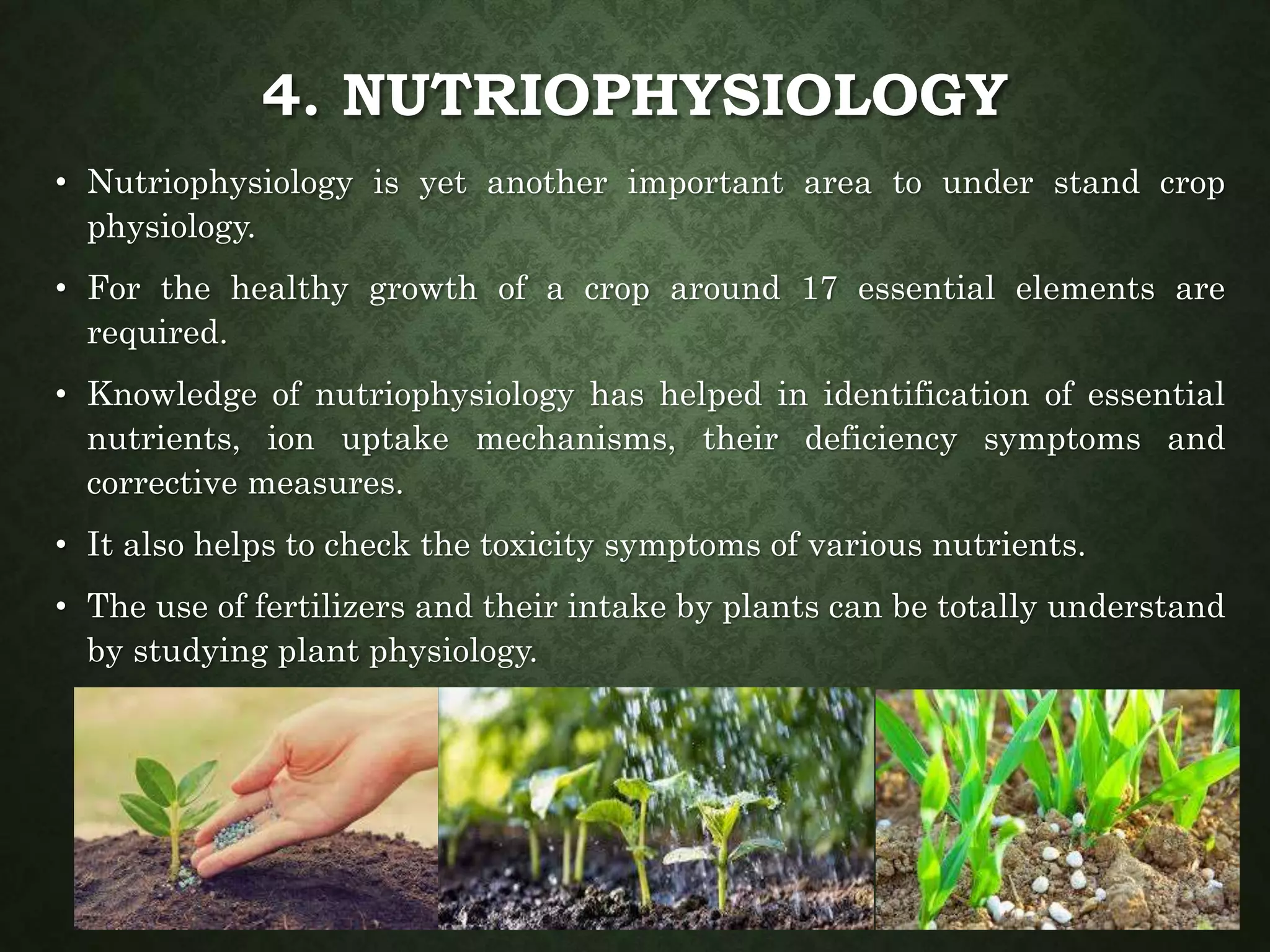 Plant Physiology | PPTX