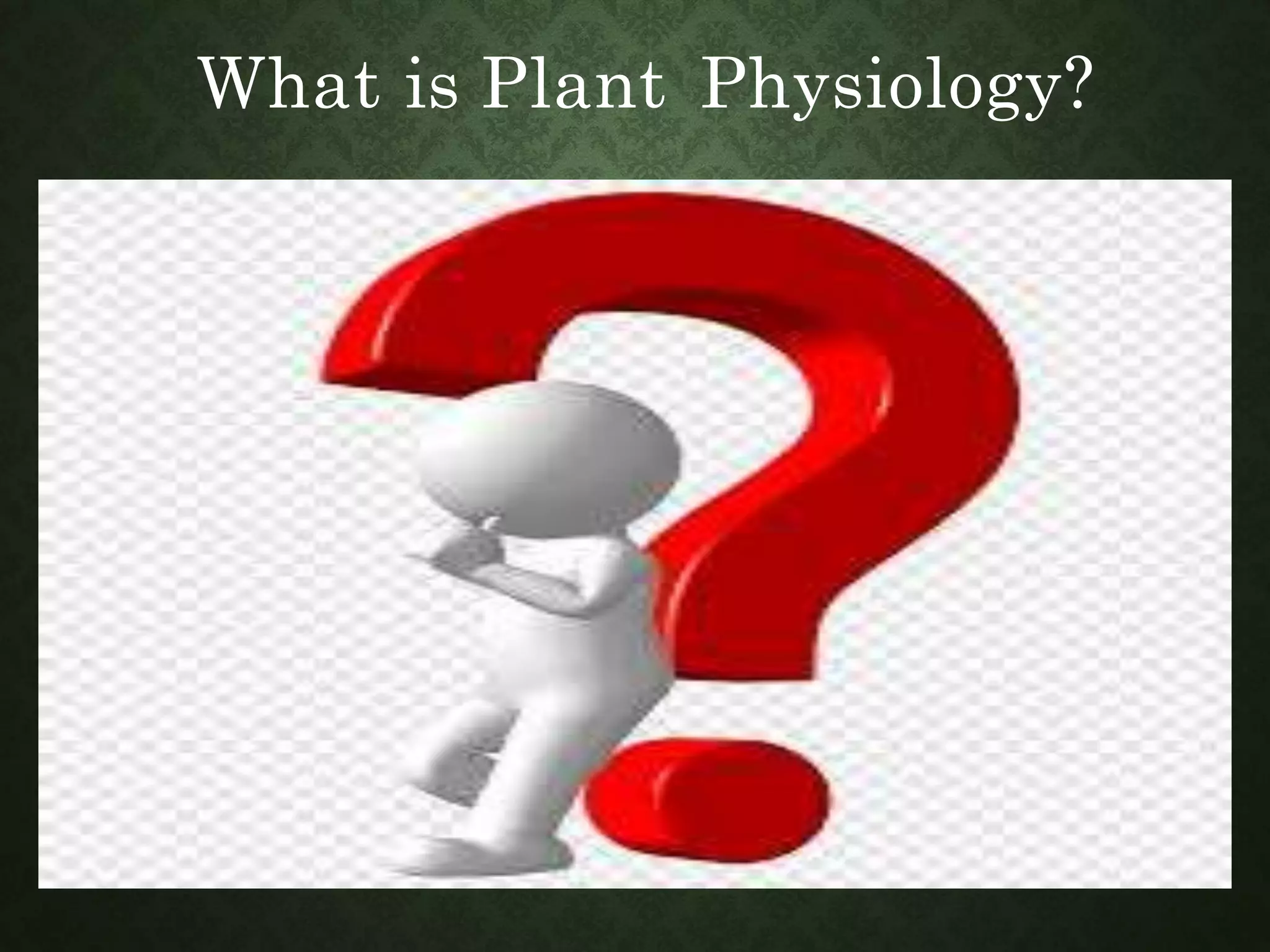 Plant Physiology | PPTX