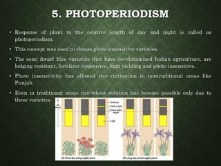 Plant Physiology | PPTX