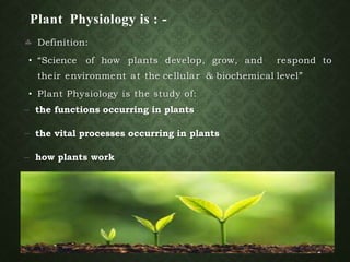 Plant Physiology | PPTX