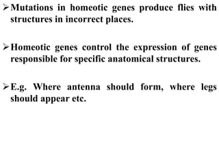 Bot msc part ii sem 4_2014-15_paper 6_mayura d. joshi | PPT