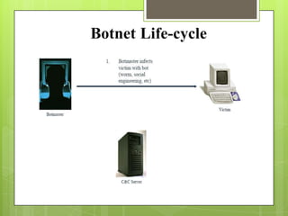 Botnets | PPTX
