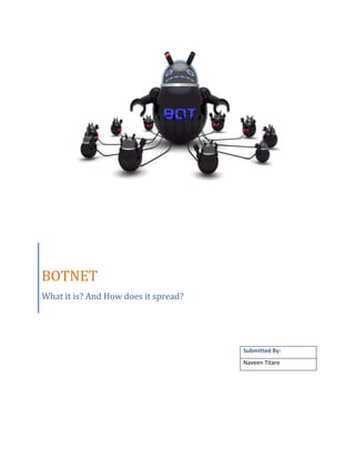 All you know about Botnet | DOCX | Internet | Computing