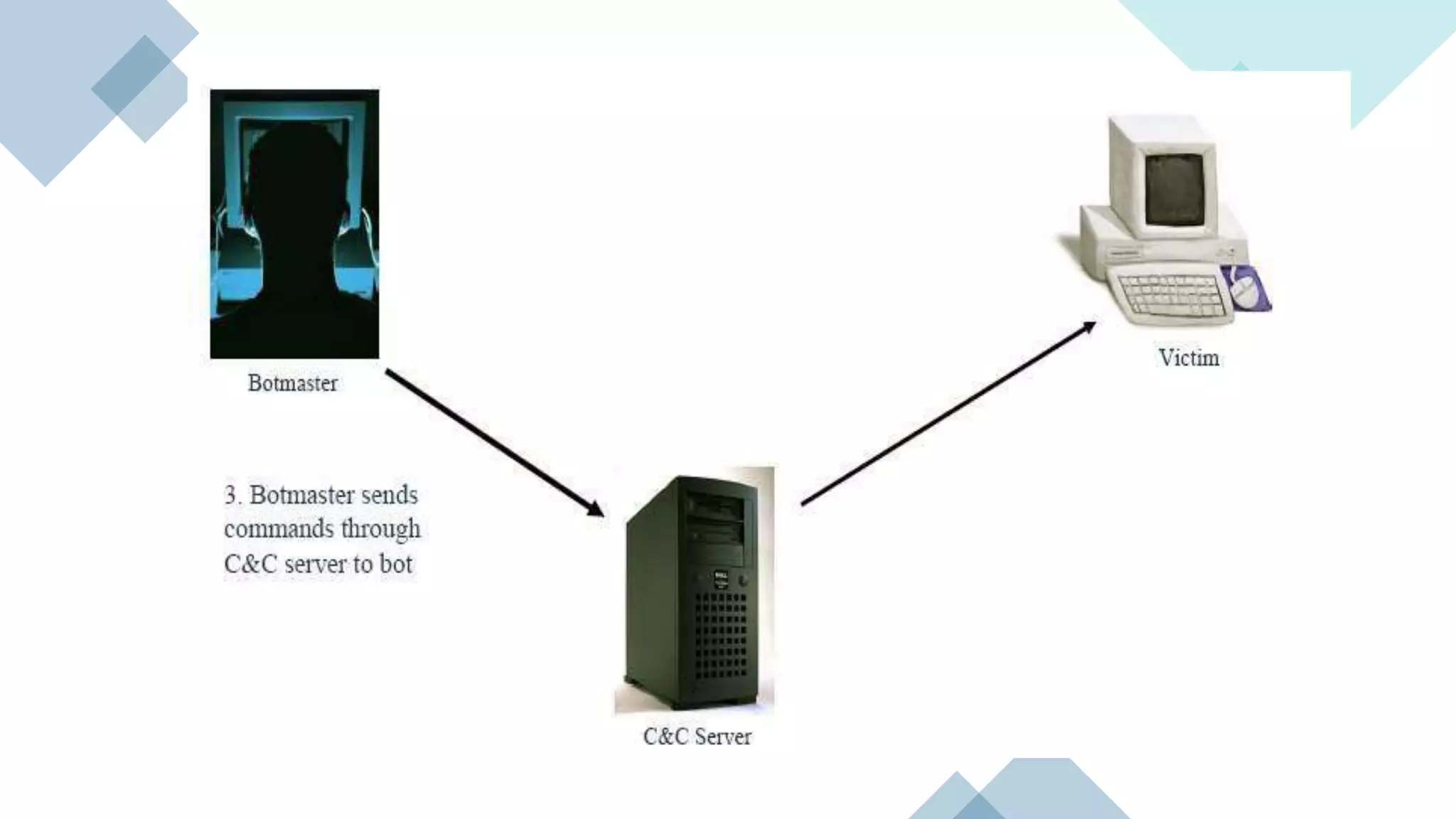 Botnets In Cyber Security | PPTX