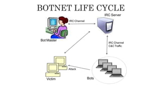 Botnets In Cyber Security | PPTX