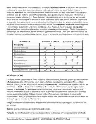 Botánica morfología de angiospermas | PDF